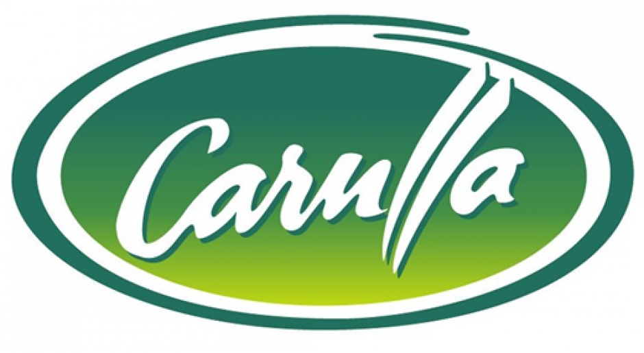 Inicio - Camsal ltda