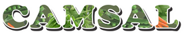 Inicio - Camsal ltda